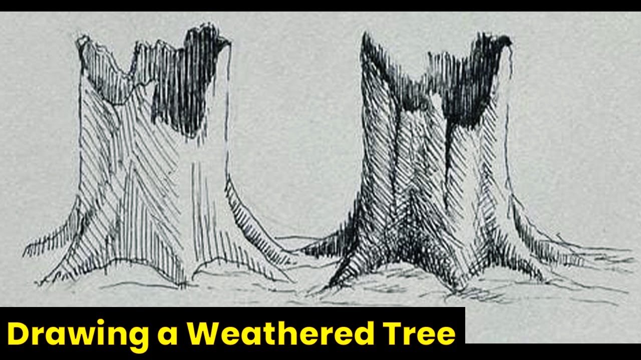 How to Draw a Weathered Tree - YouTube