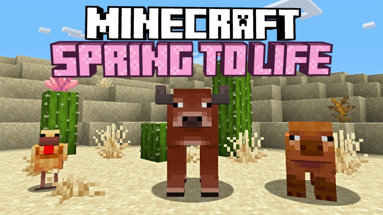 Minecraft 1.21.5: Everything You Need to Know! - YouTube