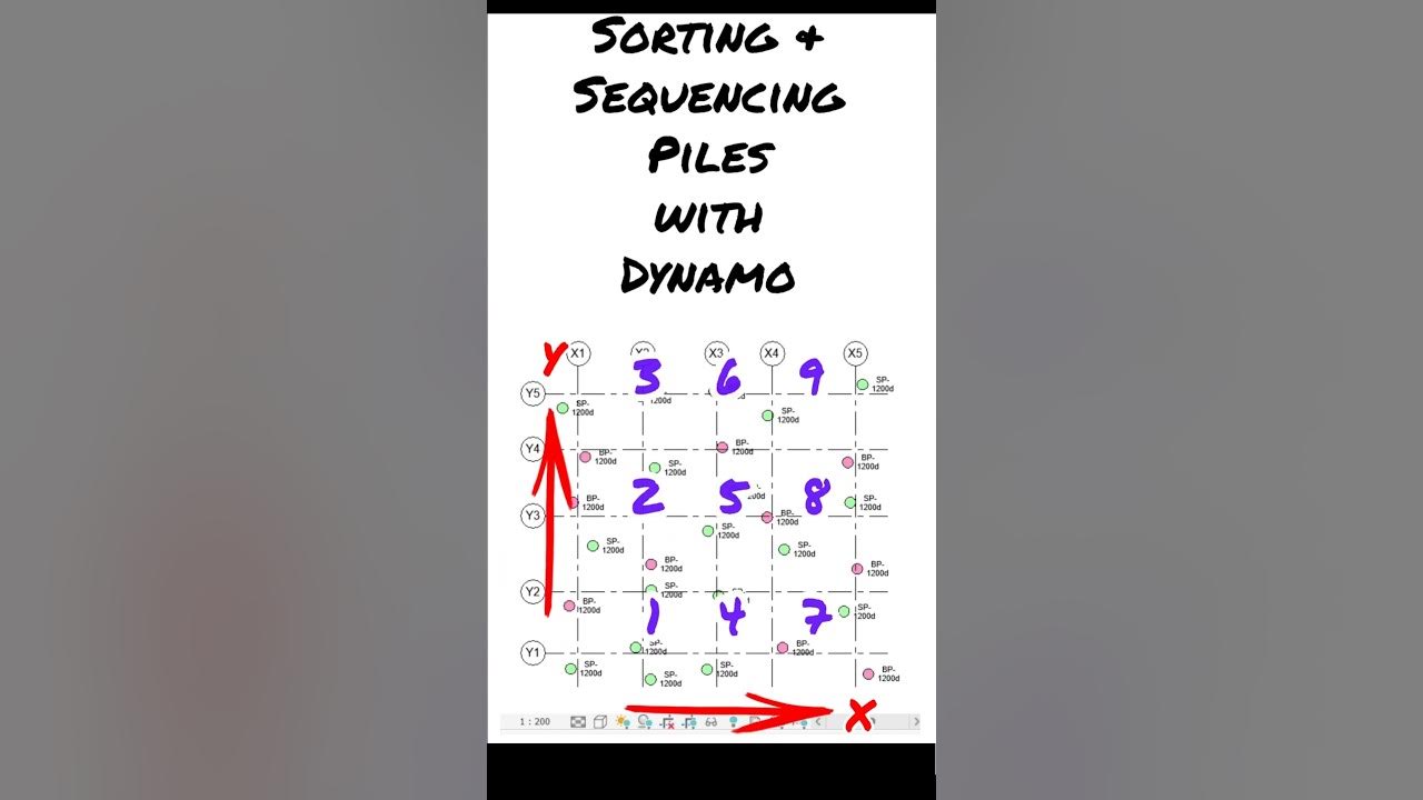 Automatic Sort & Sequence #Piles with Dynamo #revit #dynamobim #visualprogramming #automation ...