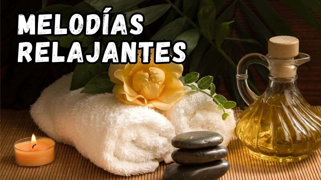 Calma y Paz Interior, Música Relajante con Sonidos de Bosque # ...