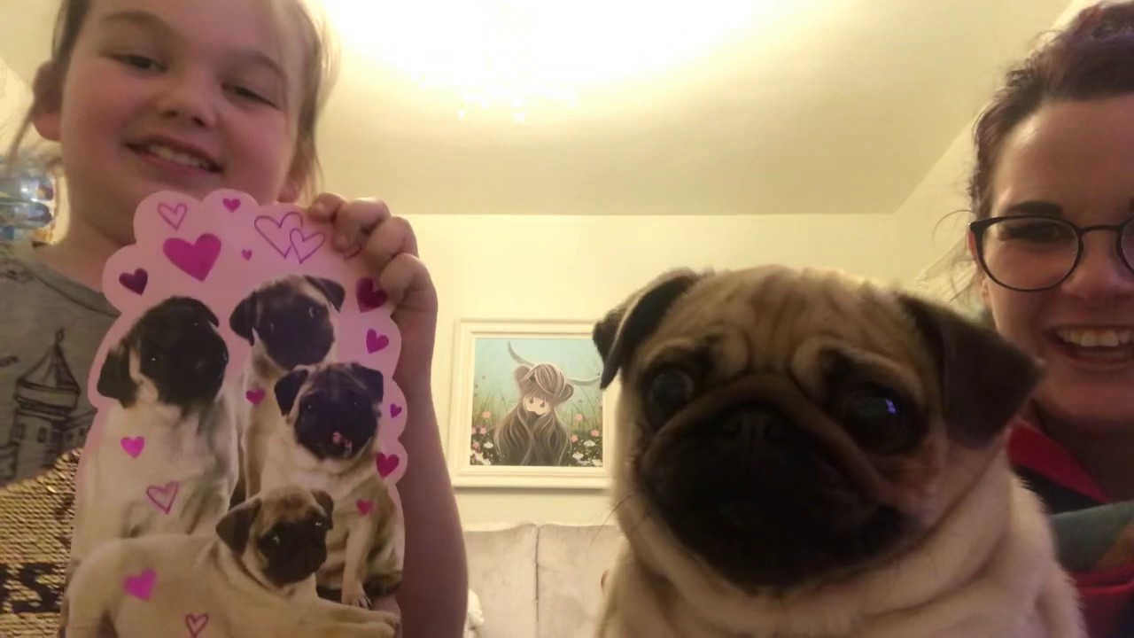 Mrs crazy bag lady's daily vlog in the English countryside 13 Feb ...