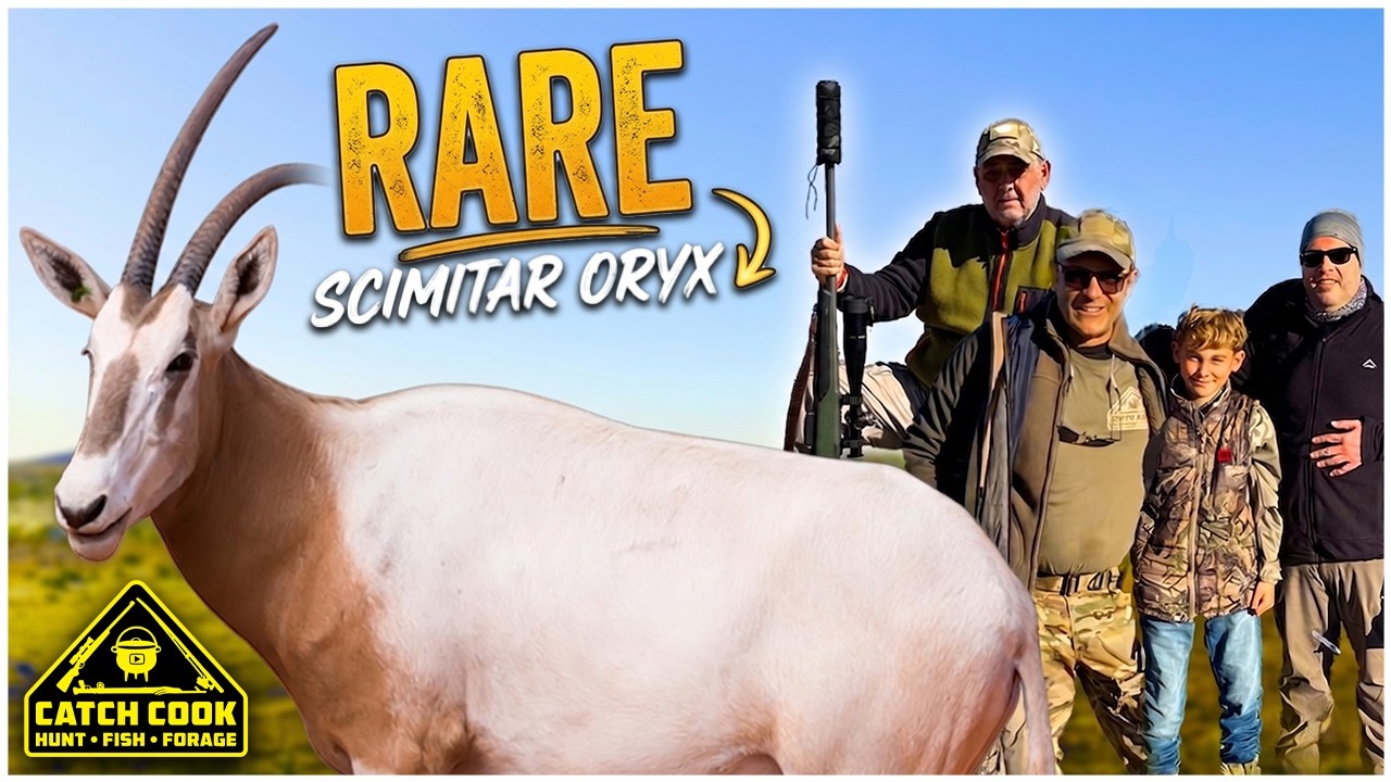 We Took on the WILD KAROO! Hartebeest, Blesbok & RARE Scimitar Oryx ...
