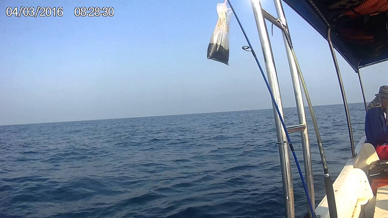 Trying out my new rod zen zagan n reel daiwa millionaire - YouTube