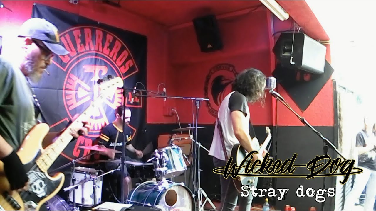 Wicked Dog - Stray Dogs (Live at Matinal Liantes, 4-6-23) - YouTube