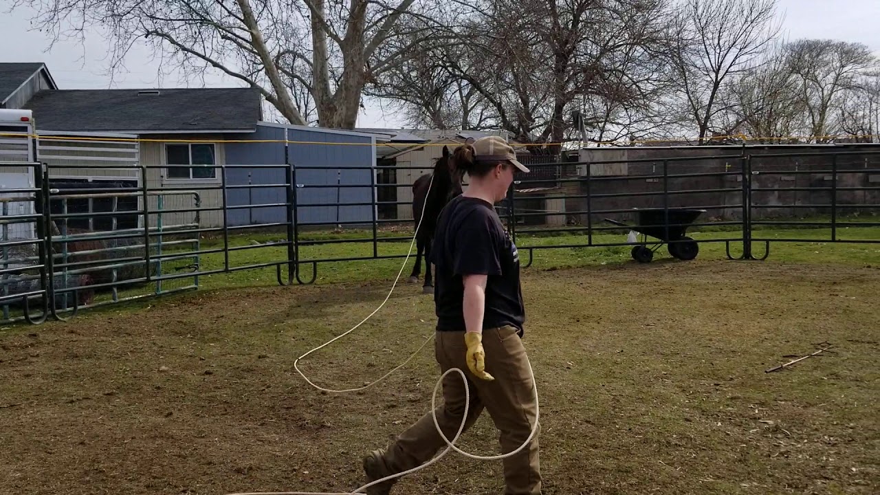 Rope work progress. DG Mustang 5 - Canby - YouTube