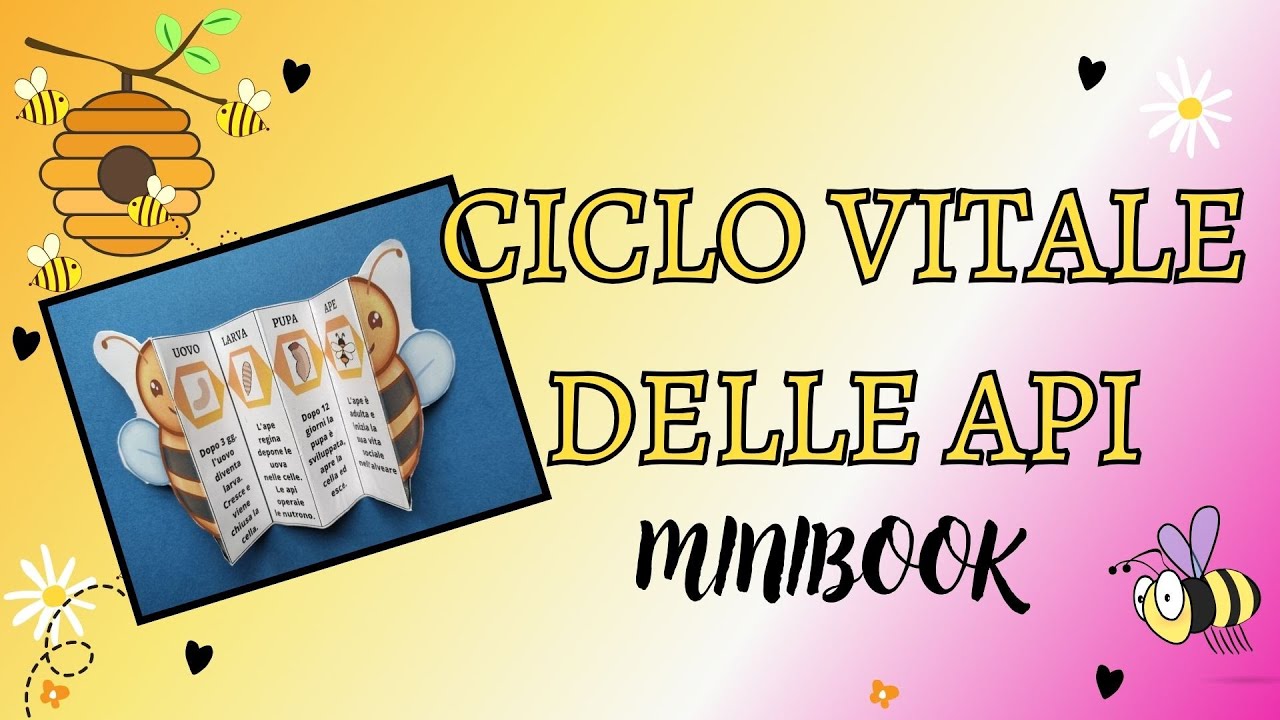 CICLO VITALE DELLE API: spiegazione e Minibook - Giornata mondiale ...