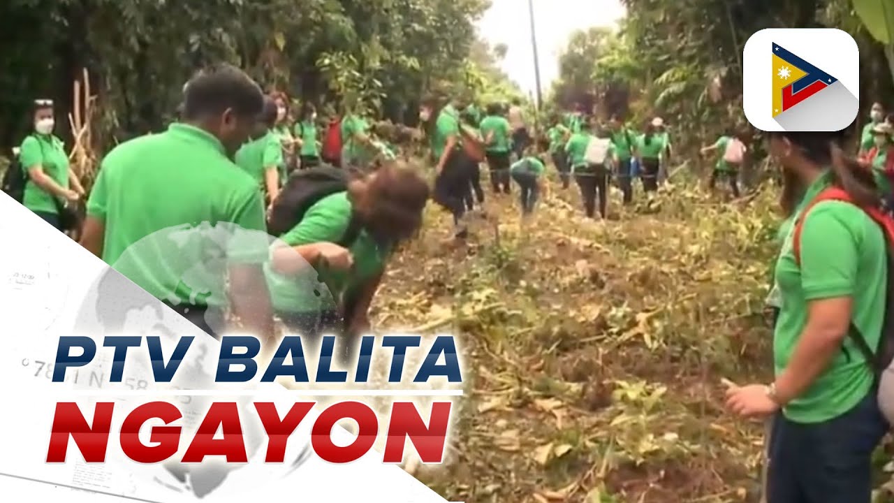 CCC, nagsagawa ng tree planting activity sa La Mesa Nature Reserve sa ...