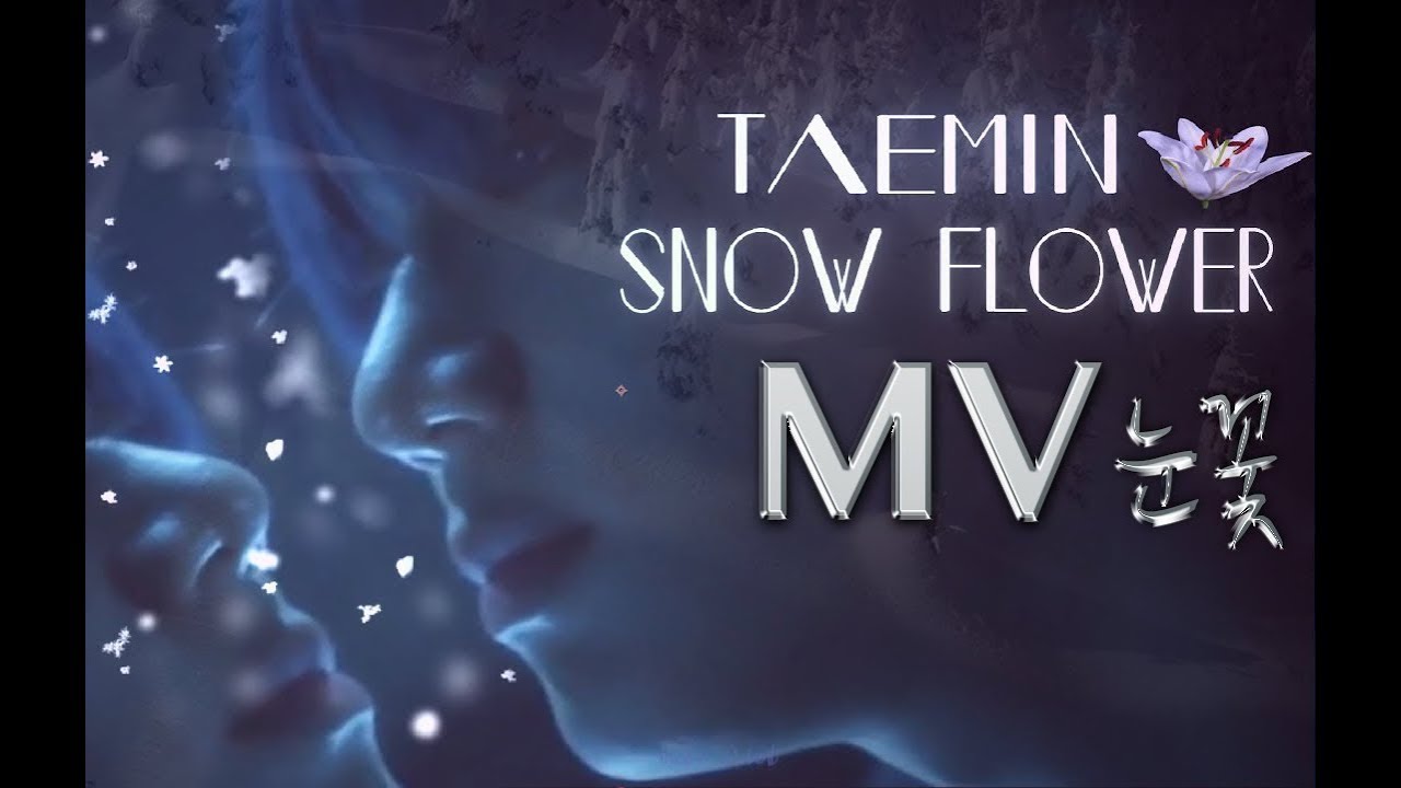 Taemin - Snow Flower FMV & Lyrics '태민 눈꽃' - YouTube