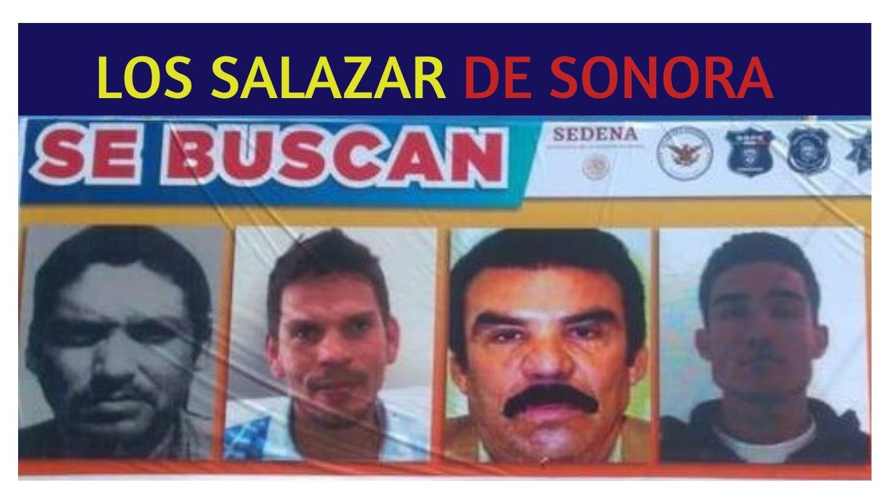 Los Salazar de Sonora | Gente Nueva - YouTube