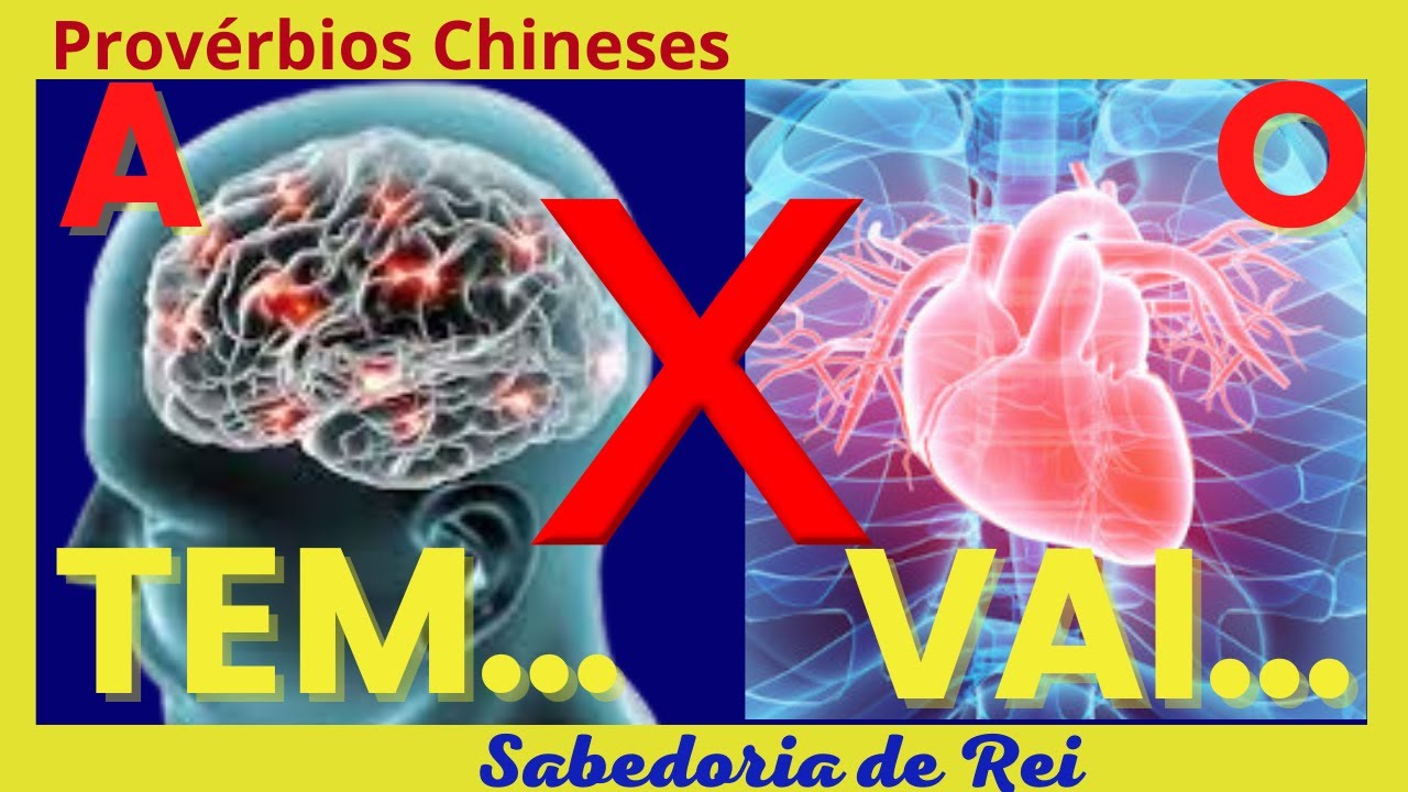 Provérbios Chineses reflexões citações - YouTube