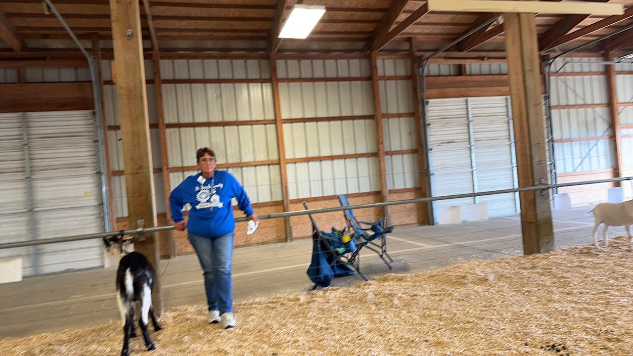 Debbie Davis said... is going live! - YouTube