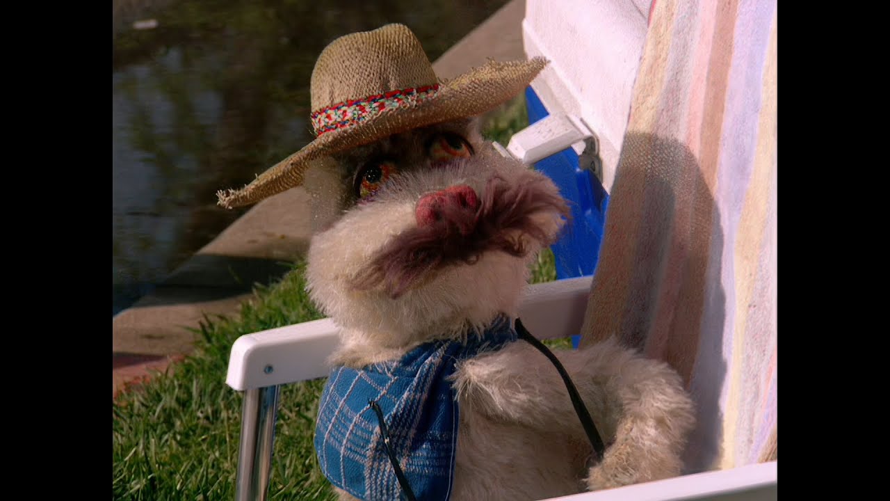 Greg the Bunny E06 HD "Rabbit Redux" - YouTube