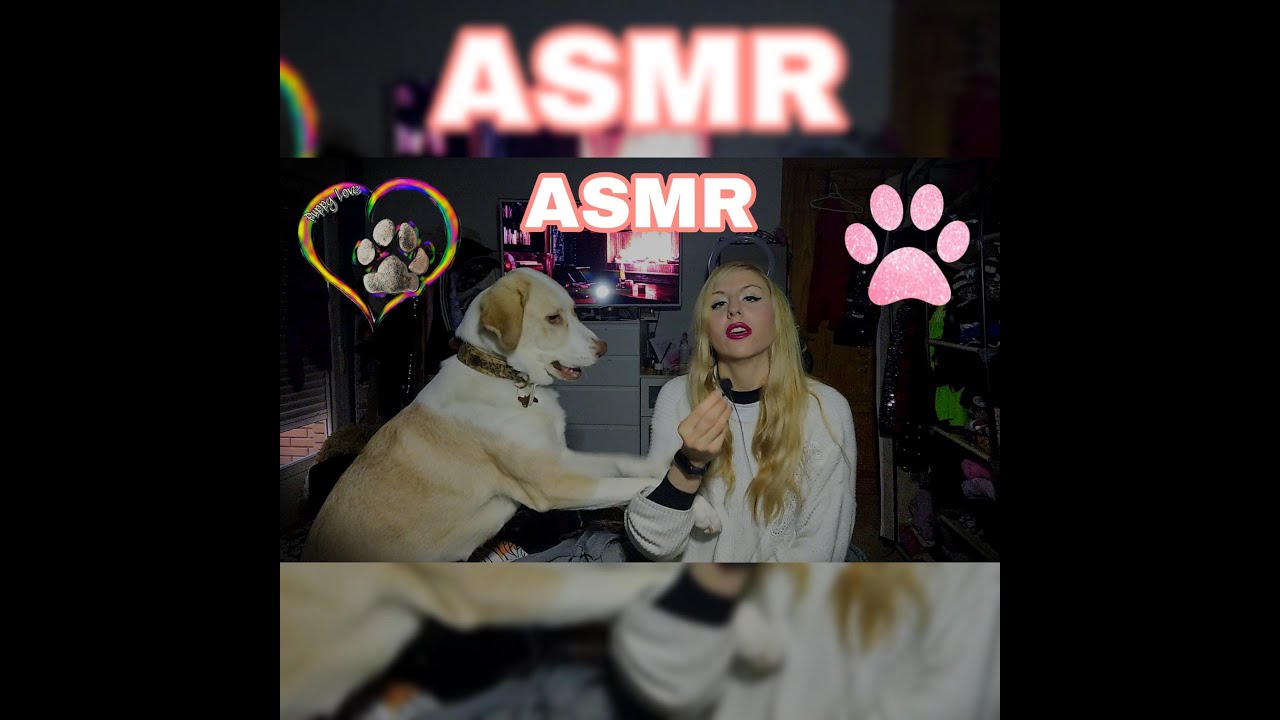 ASMR Español 🐶 Charla Random con Hannah 🌧️ Lluvia de fondo ☔ - YouTube