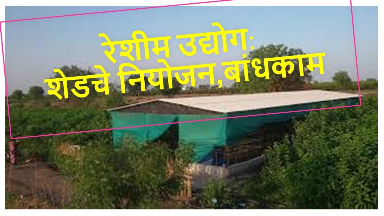 रेशीम शेड व्यवस्थापन ..l reshim udyog ..l shed ..l sericulture ..ll ...