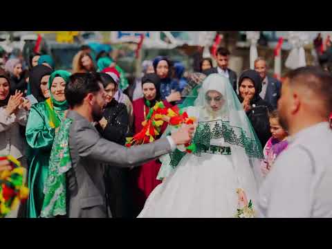 Dılovan Müzik - Weylo (Güç Ailesi Düğünü)