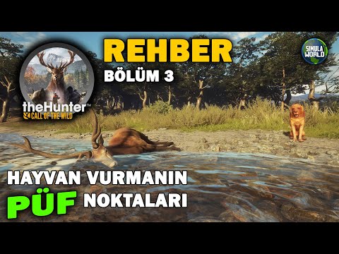 REHBER, YARDIM, İPUÇLARI | HAYVAN NASIL VURULUR? | THE HUNTER CALL OF THE WILD