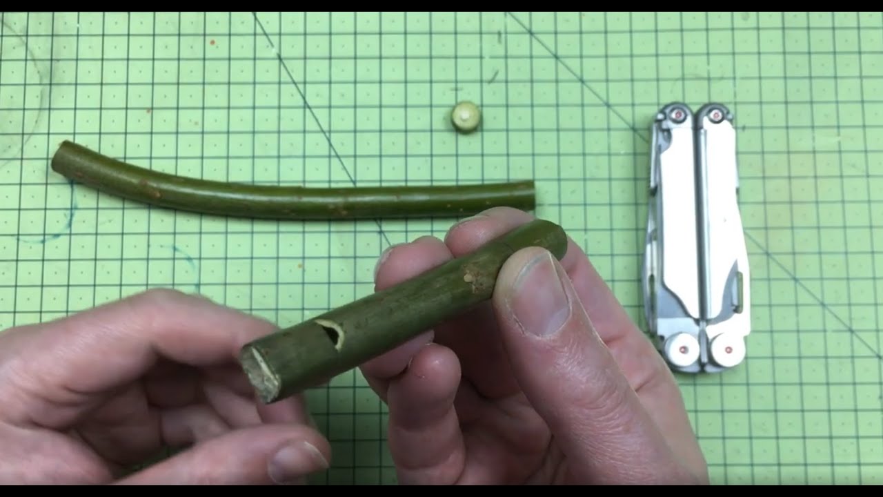 How to Make a Willow Whistle - YouTube