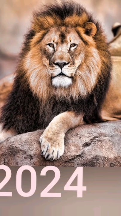 lion vs 5000 bce lion viral shorts video uploding please comment and ...