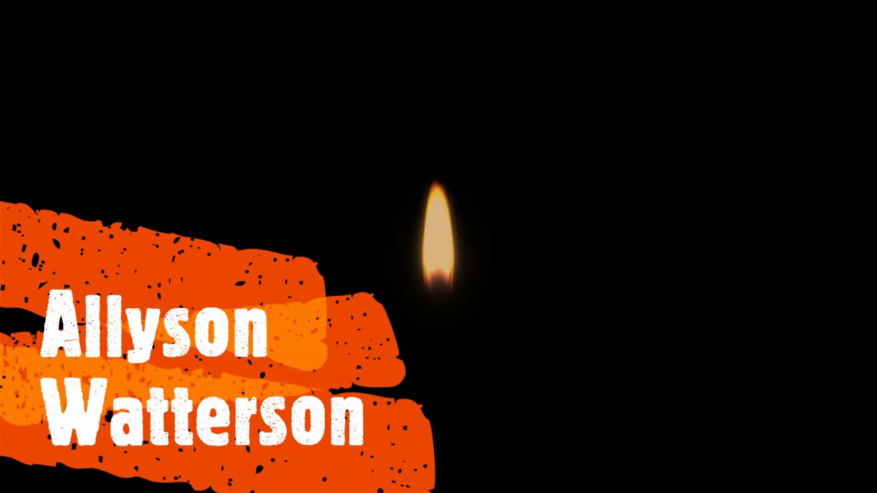 Allyson is missing,help find her boyfriend said he got separated BIG ...