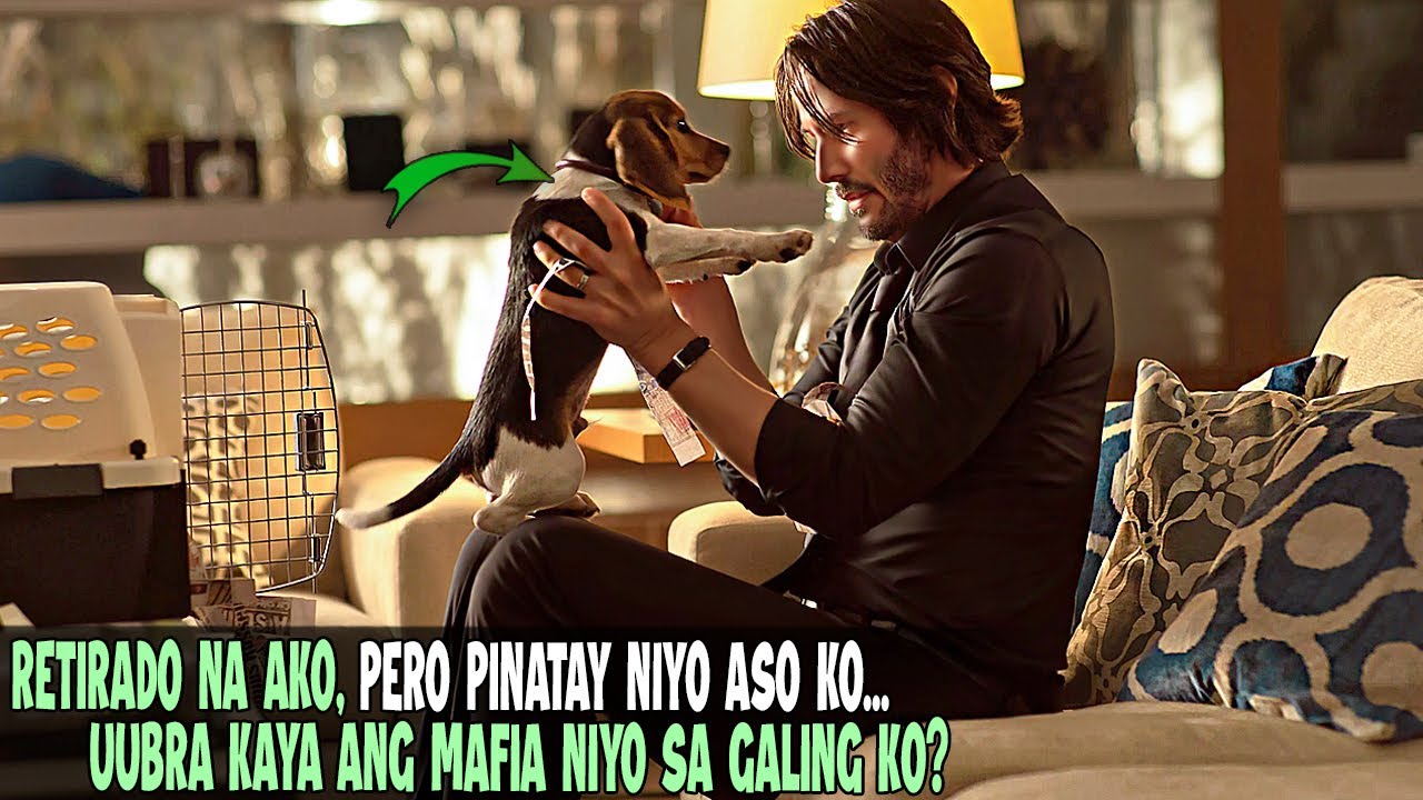 Pinatay Nila Ang Aso At Ninakaw Pa Ang Sasakyan Ng Taong Ito, Yun Pala ...