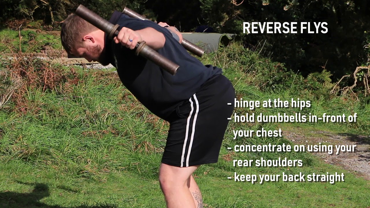 DB Reverse Fly Instructional - YouTube