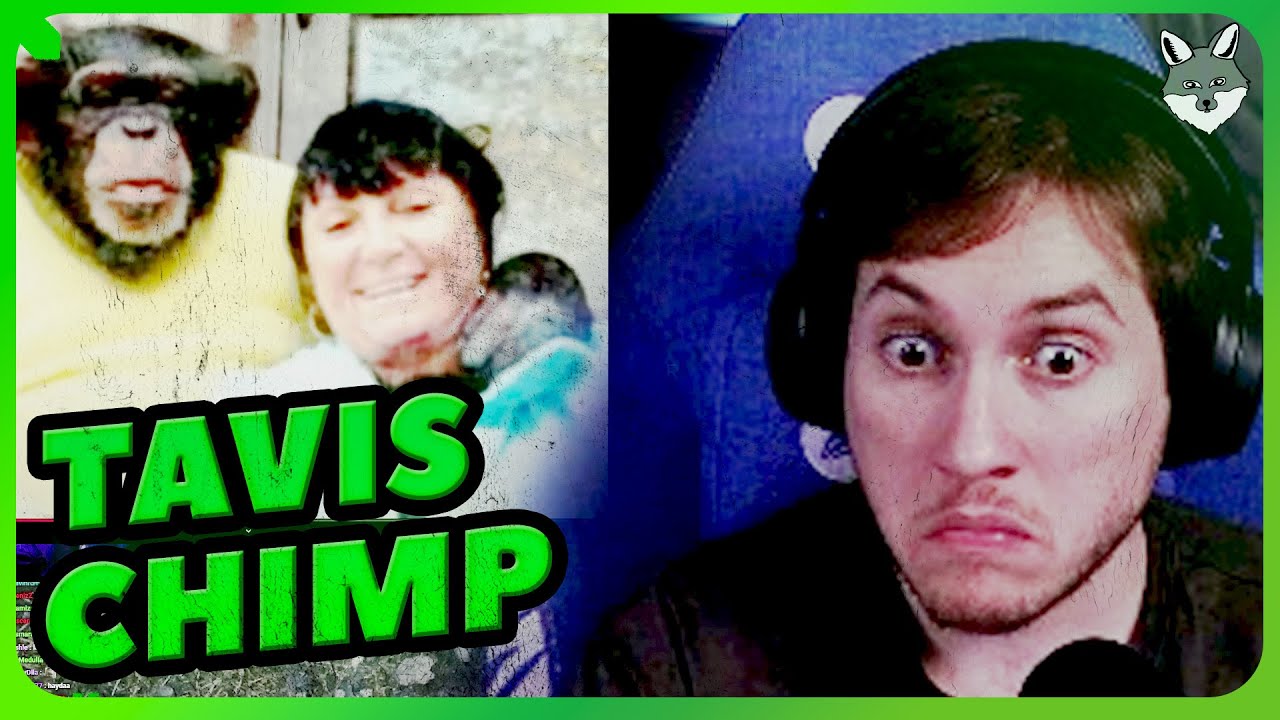 Travis Chimp Vakasına Tepki! (@PortalVideo ) | RRaenee - YouTube
