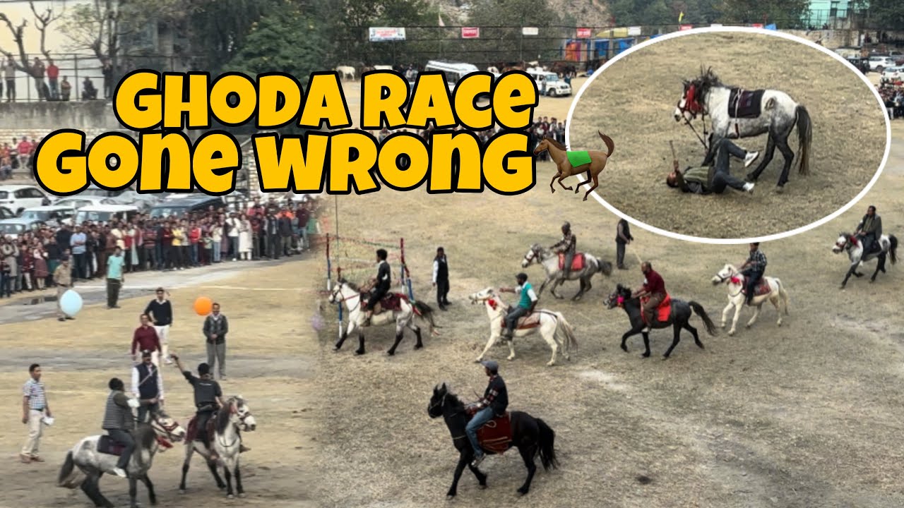 Ghoda race gone wrong🐎 || Ghoda race 2024 ️🐎 || @boyfrombushahr - YouTube