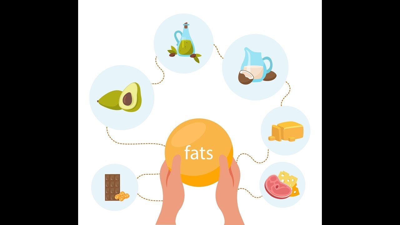 Saturated Fats: Friend or Foe!? The Science Behind Fat Metabolism - YouTube