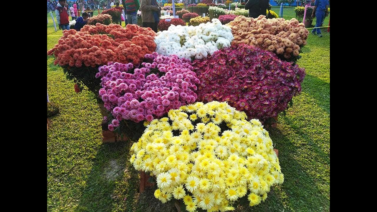 New Barrackpore Municipality Presents - New Barrackpore Flower Show ...