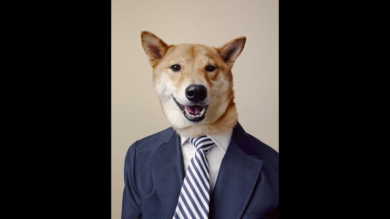 SHIB Worldwide Live Events #raffle #events #love #crypto #subscribe # ...