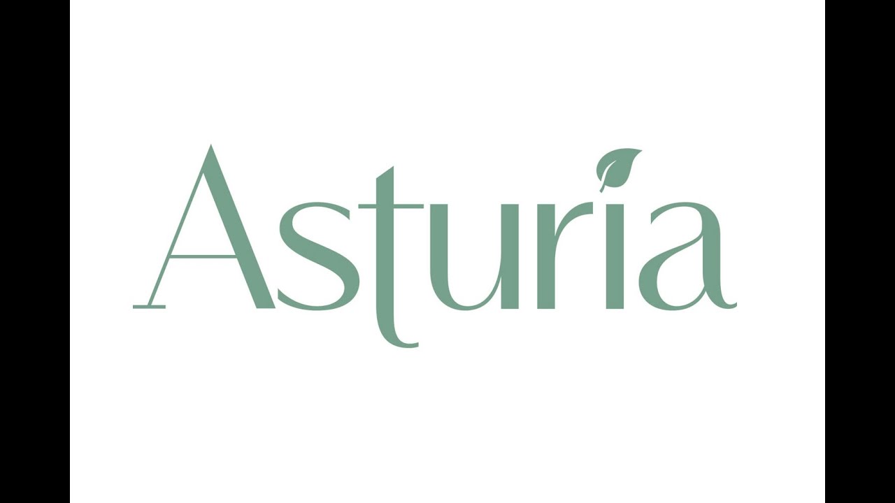 Asturia Lutz FL Community Tour - YouTube