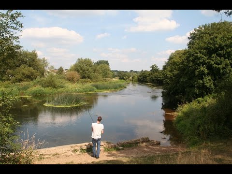 Ray Walton - DORSET STOUR, LONGHAM BRIDGE, DORSET - YouTube