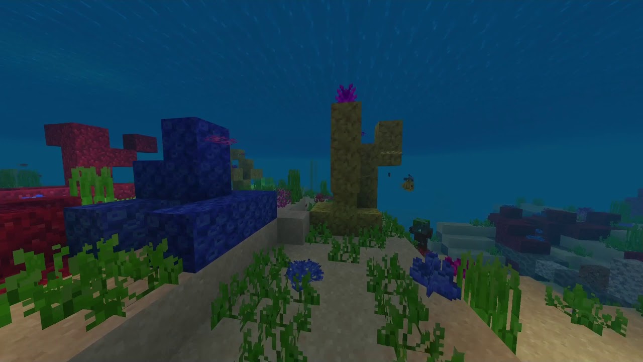 Exploring Minecraft Coral Reefs - YouTube