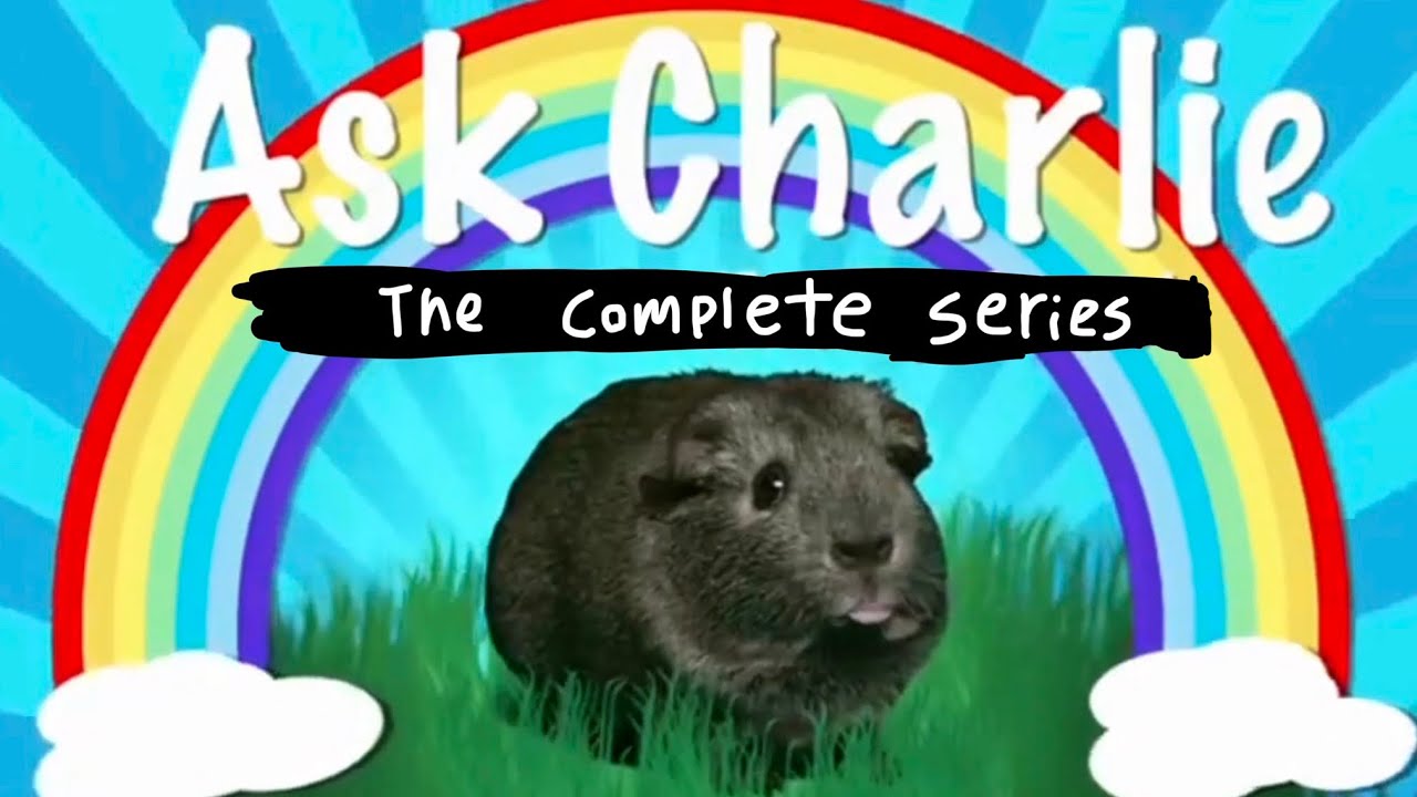 Ask Charlie: The Complete Series Marathon (Charlie The Drunk Guinea Pig ...