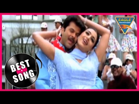 Best Song of the Day 208 || Latest Best Video Songs || Biwi No 01 || Eagle Hindi Movies
