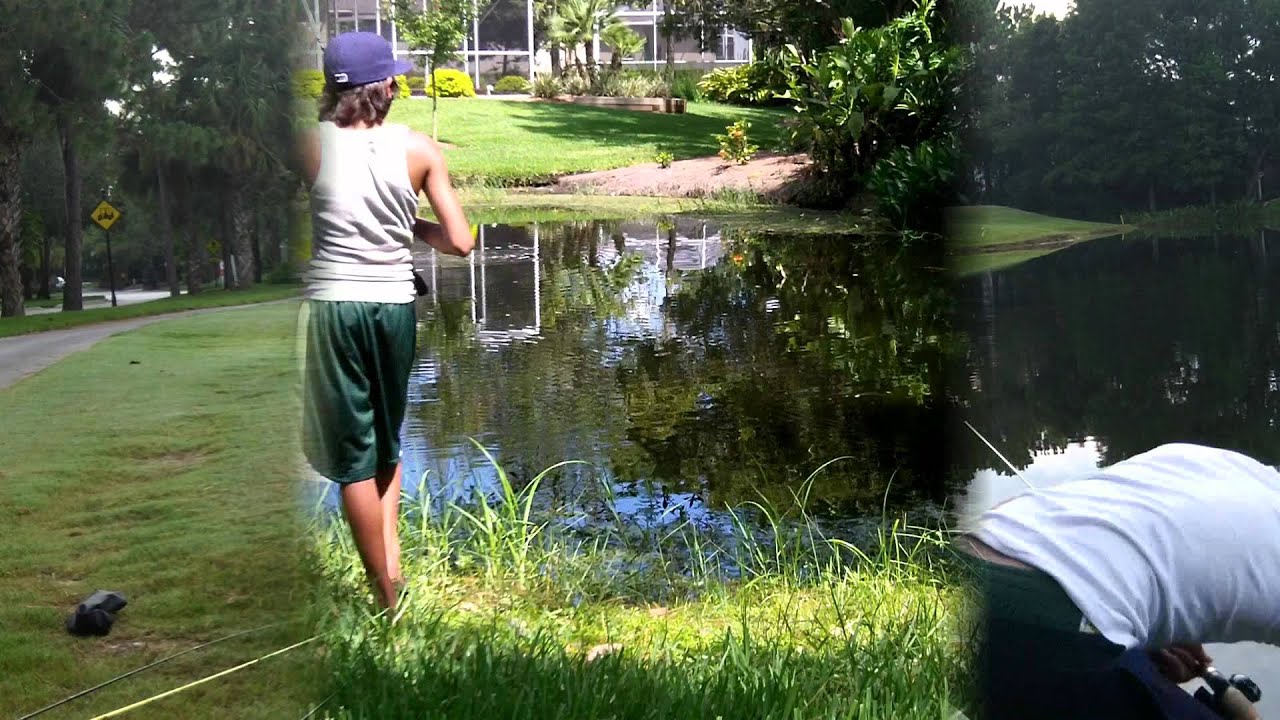 Bass Fishing in Golf Course Ponds [Part 2] - YouTube