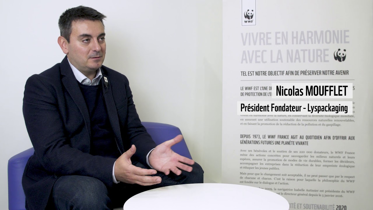 WWF ITV NicolasMOUFFLET v3 - YouTube
