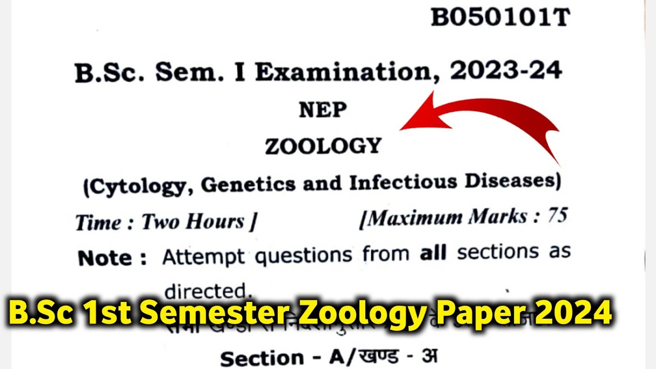 B.Sc 1st Semester Zoology Question Paper 2023-24 | BSc 1st Year Zoology ...