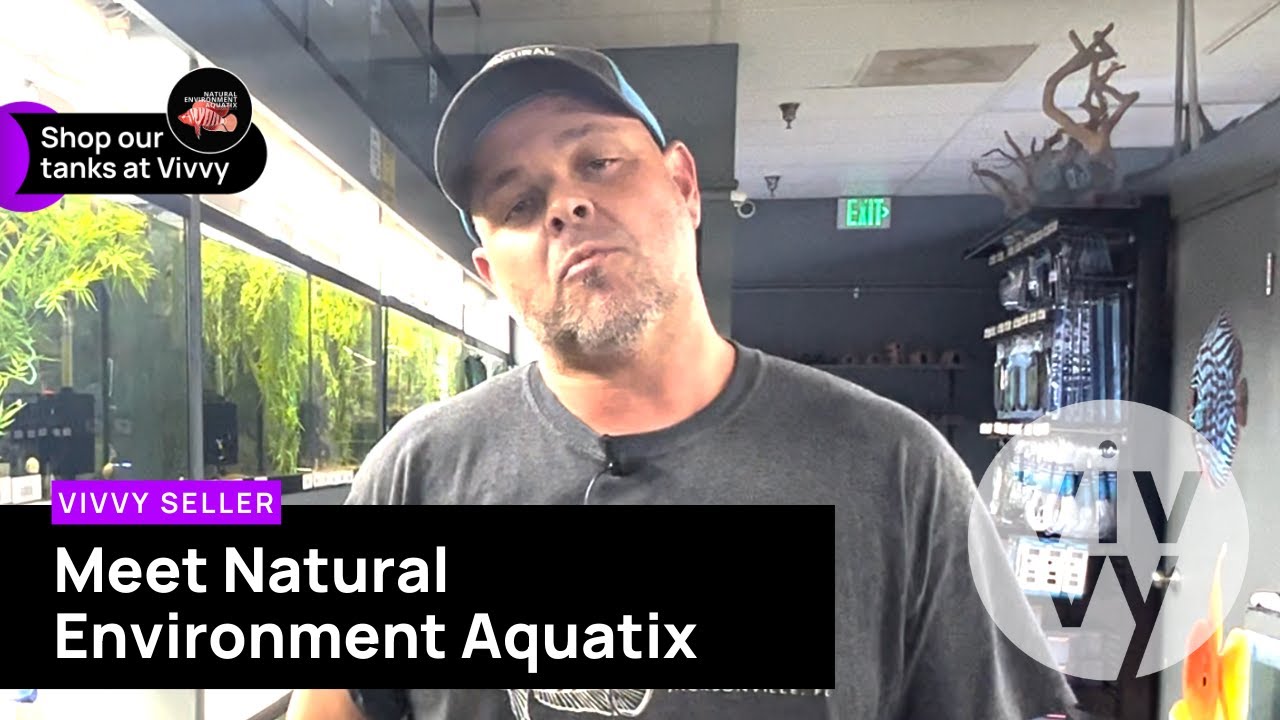Meet NATURAL ENVIRONMENT AQUATIX: Ronnie show us all his freshwater ...