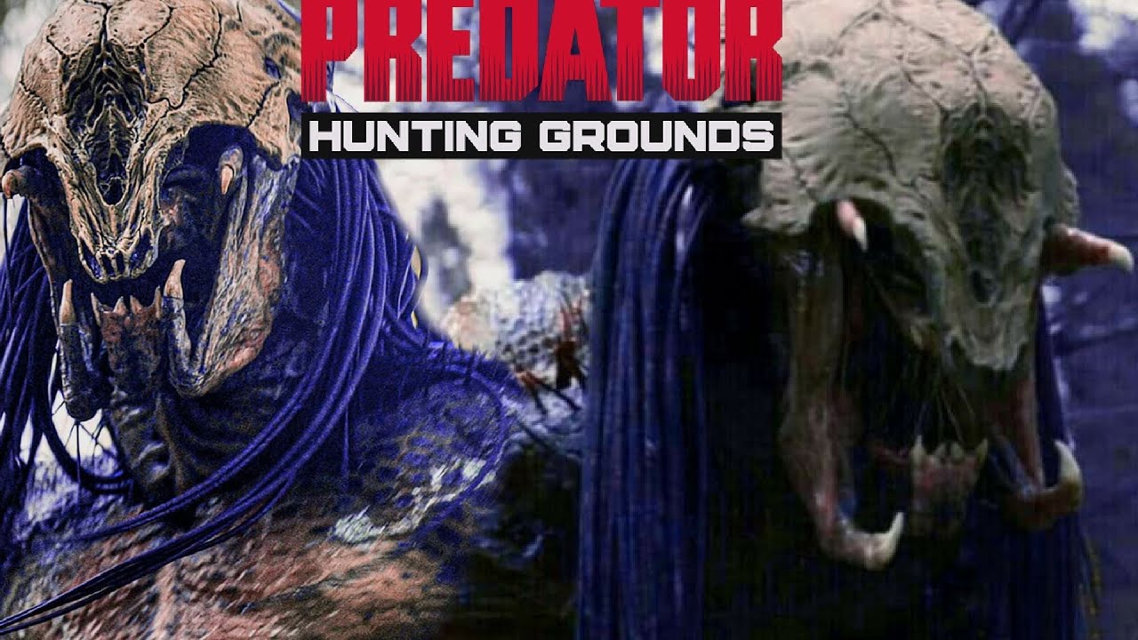 Predator Hunting Grounds EP 641: Feral VS Elite Sniper - YouTube