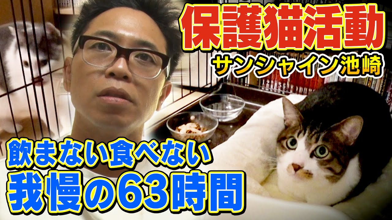 【サンシャイン池崎】家に来て3日以上飲まず食わずの保護猫佐吉が…【猫おじさん！遂に新シリーズ】 Youtube
