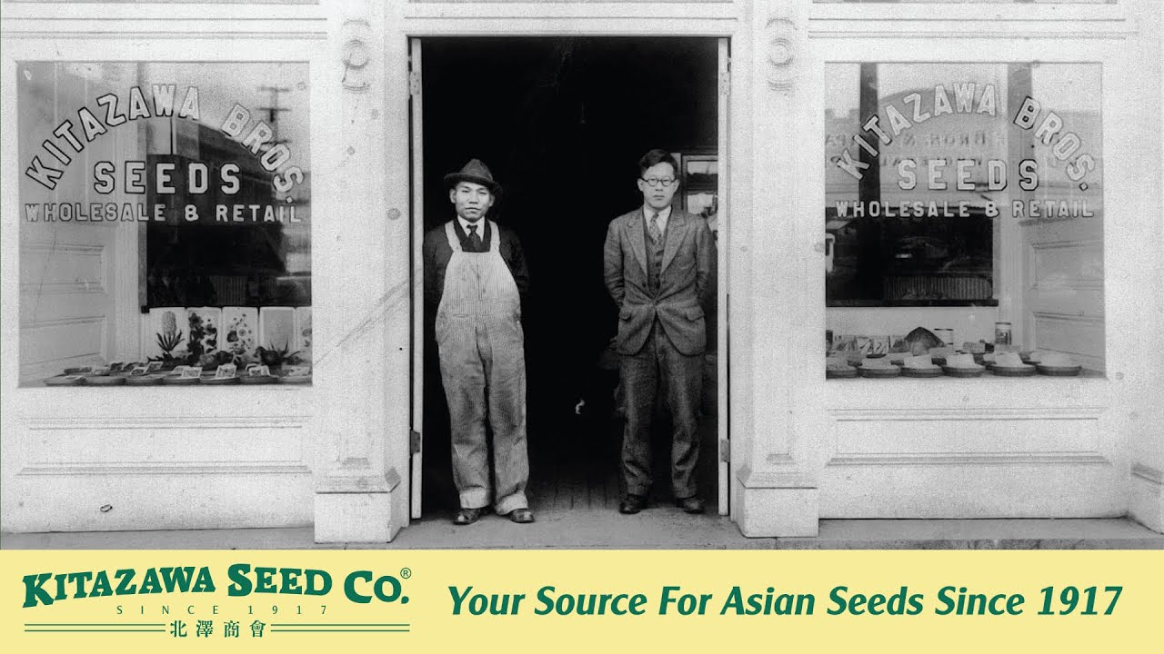 Kitazawa Seed Company-Your source for Asian garden seeds since 1917 ...