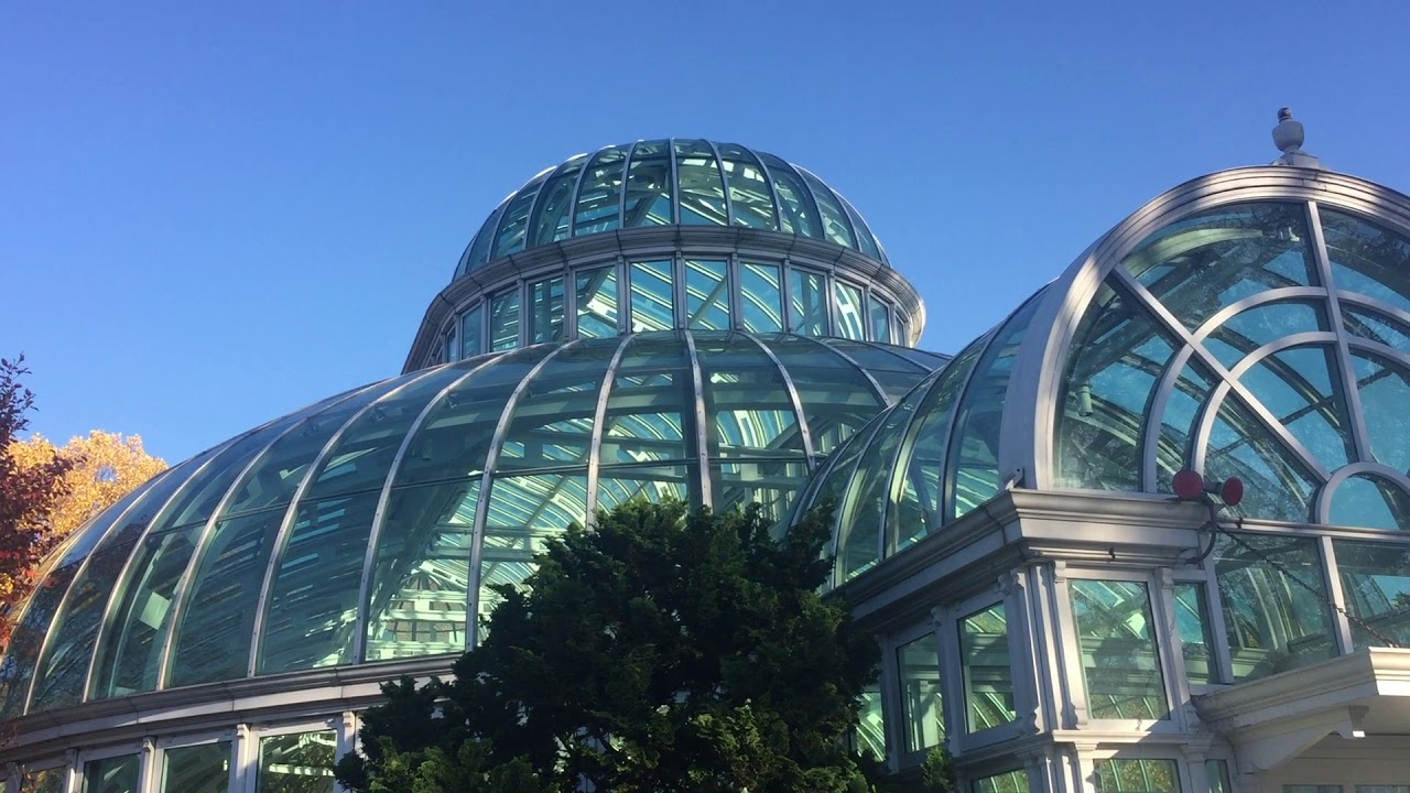 Brooklyn Botanic Garden Fall Update 2018 - YouTube