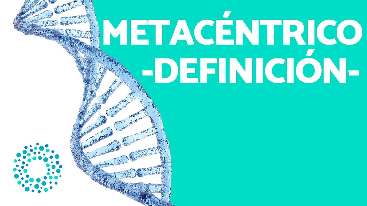 DEFINICIÓN DE METACÉNTRICO - ¿QUÉ es el METACÉNTRICO? - YouTube