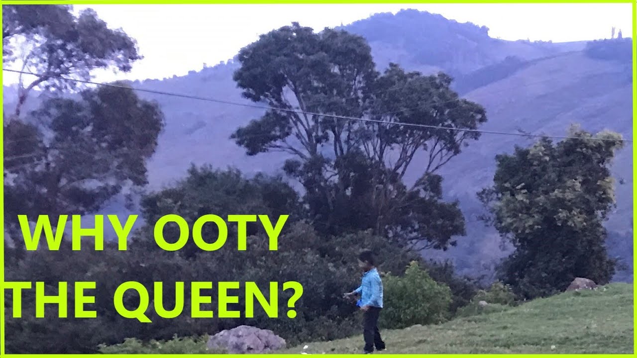 Why is OOTY, The QUEEN of Hills in India? | Virtual Tour | Nonstop ...