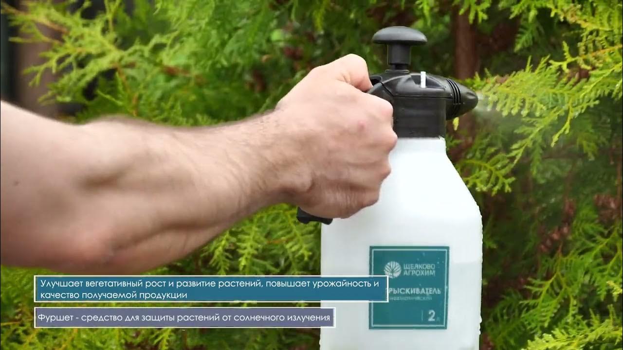 Комплексное решение для защиты хвойников - YouTube