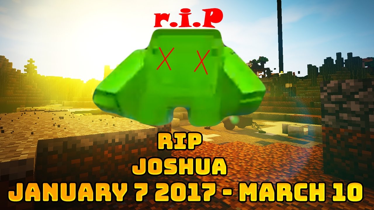 RIP Joshua January 7 2017 - March 10 - YouTube