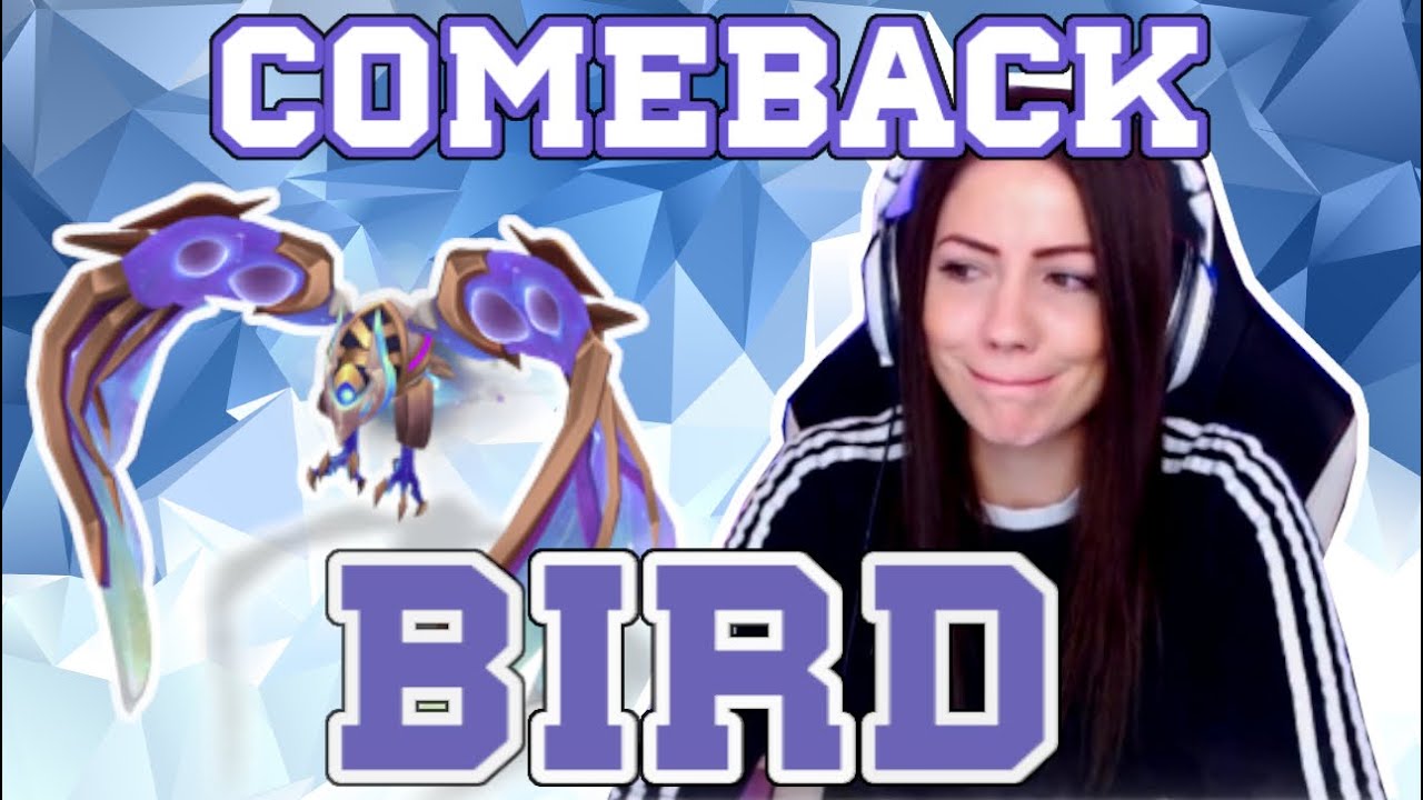 COMEBACK BIRD - YouTube