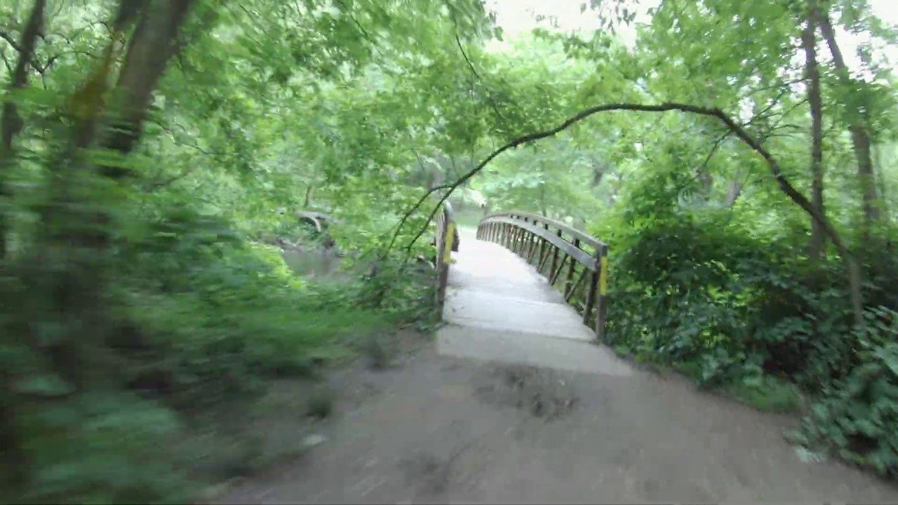 Overgrown Trail Fat Tire E Bike Ride June 17 2020 7of9 - YouTube