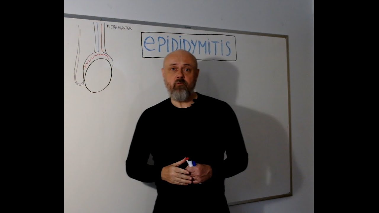 Epididymitis - YouTube